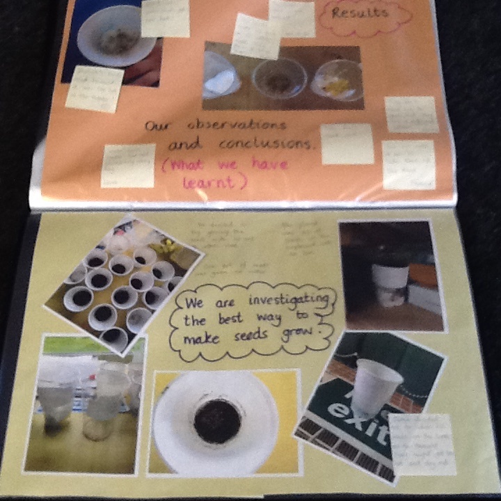 Hindhayes Infant School - Floor books in action