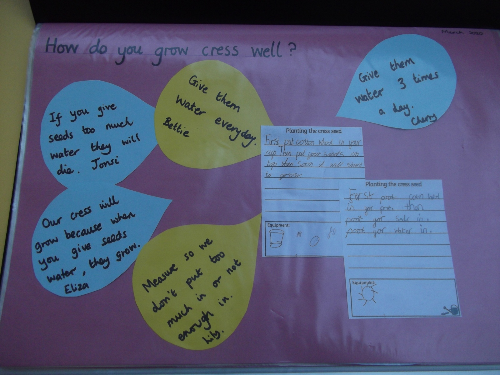 Hindhayes Infant School - Floor books in action