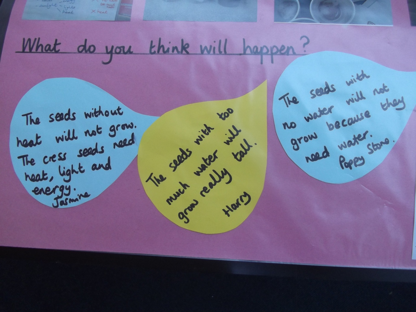 Hindhayes Infant School - Floor books in action